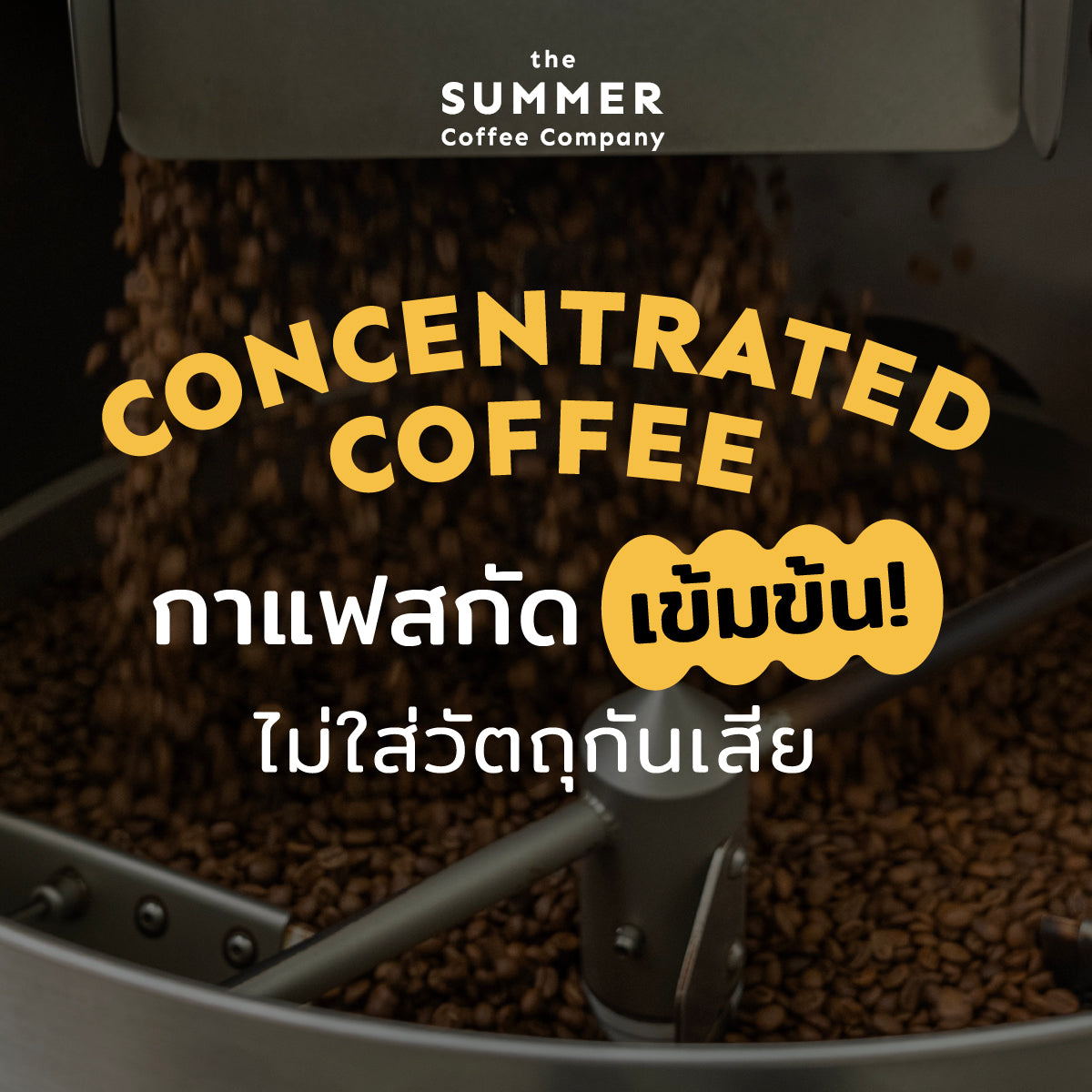 COLD BREW COFFEE CONCENTRATE 450ML. l กาแฟสกัดเย็นเข้มข้น - The Summer ...